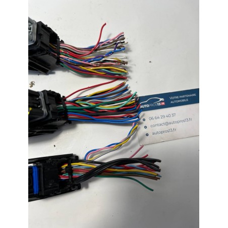 S180153133A Fiche Plug de ECU Calculateur Nissan Juke Sid307 Autopros13