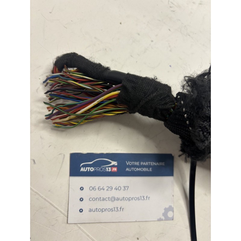 CONNECTEUR FICHE FAISCEAUX CABLE CÂBLAGE PLUG ECU DE CALCULATEUR MOTEUR ...
